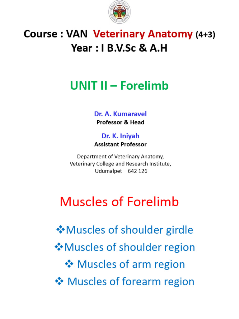 VAN Unit - II - Forelimb - Muscles | PDF | Arm | Elbow