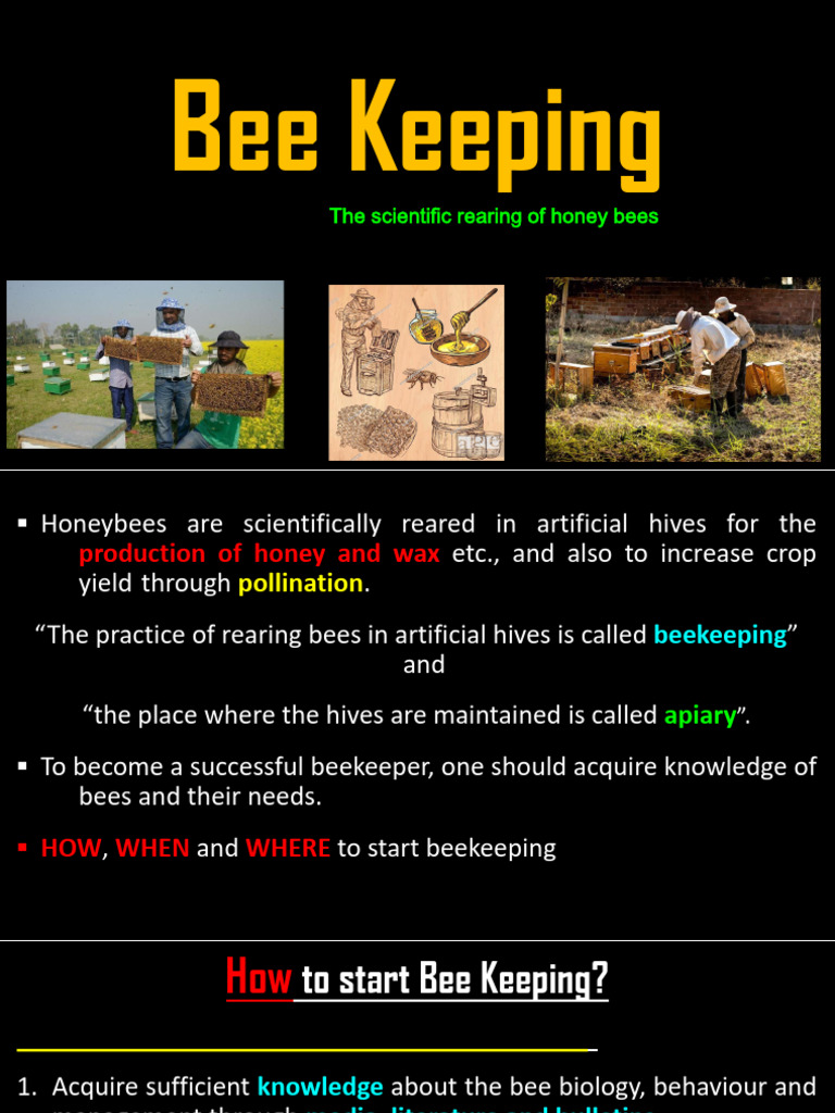 Beekeeping Essentials and Hive Types | PDF | Beehive | Beekeeping
