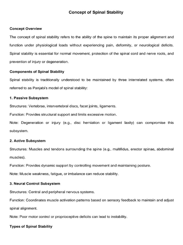 Spinal Stability | PDF