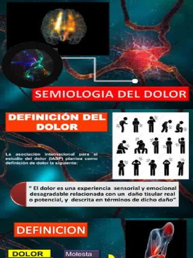 Dolor Semio | PDF