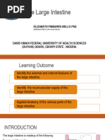 Anatomy of Appendix and Colon Explained | PDF | Large Intestine | Anatomy