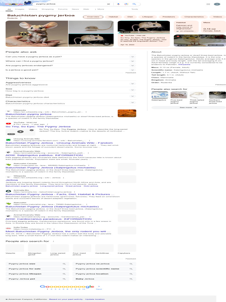 Pygmy Jerboa - Google Search | PDF