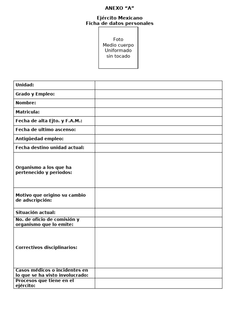 Anexo Requerimiento Ficha de Datos | PDF