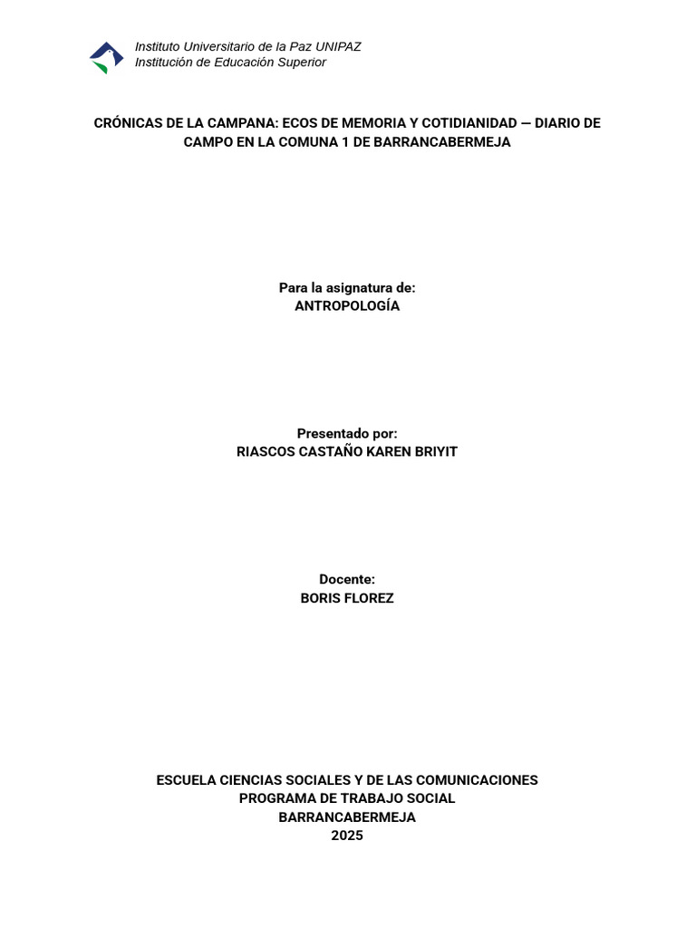 Diario de Campo Por Karen Riascos | PDF | Observación
