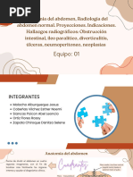 Radiografía de Abdomen y Coprostasis | PDF | Sistema urinario ...