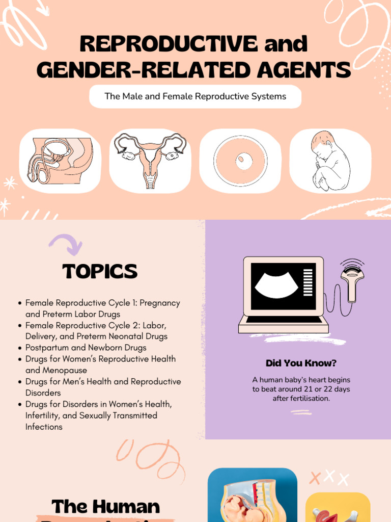 Medications For Reproductive System | PDF | Reproductive System ...