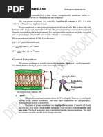 Plasma Membrane Presentation | PDF | Cell Membrane | Cell (Biology)