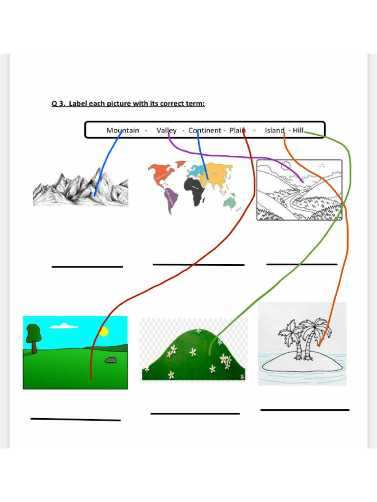 Science Test Review | PDF