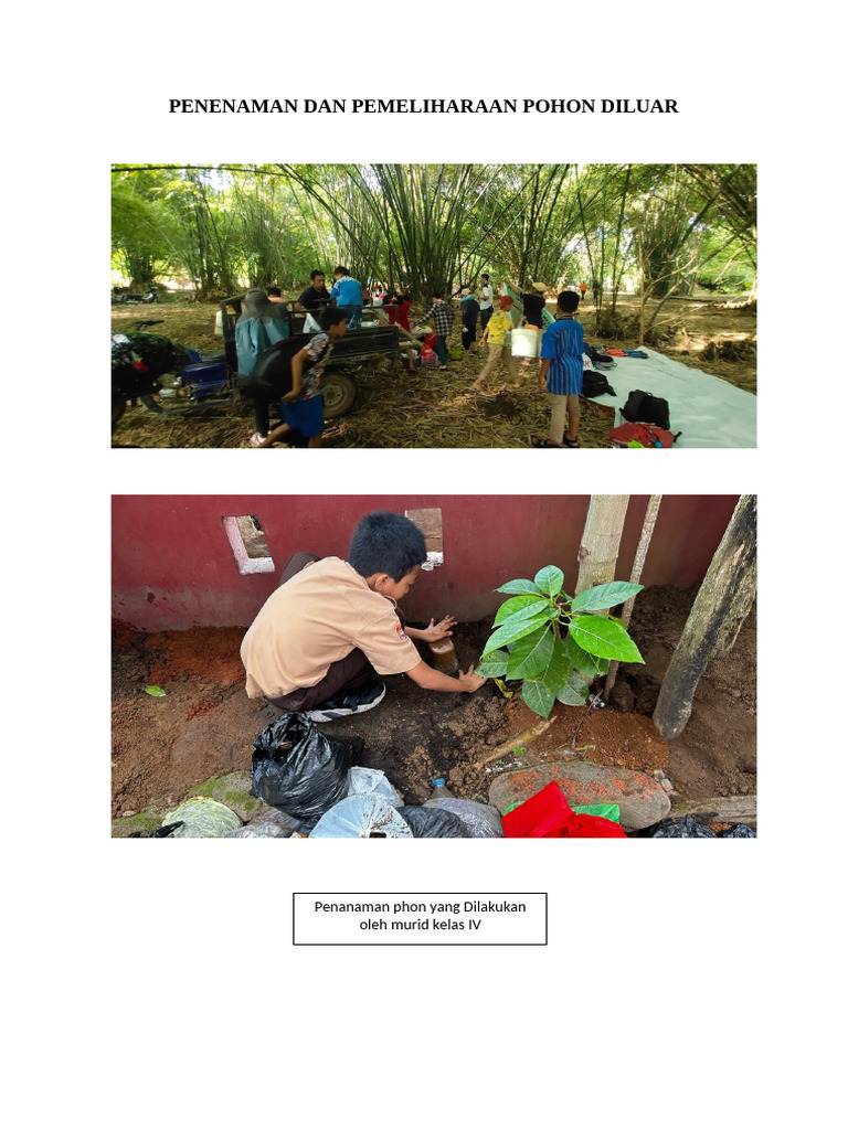 Penenaman Dan Pemeliharaan Pohon Diluar | PDF