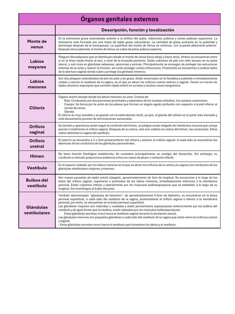 Anatomía de los órganos genitales femeninos | PDF | Vagina | Labios