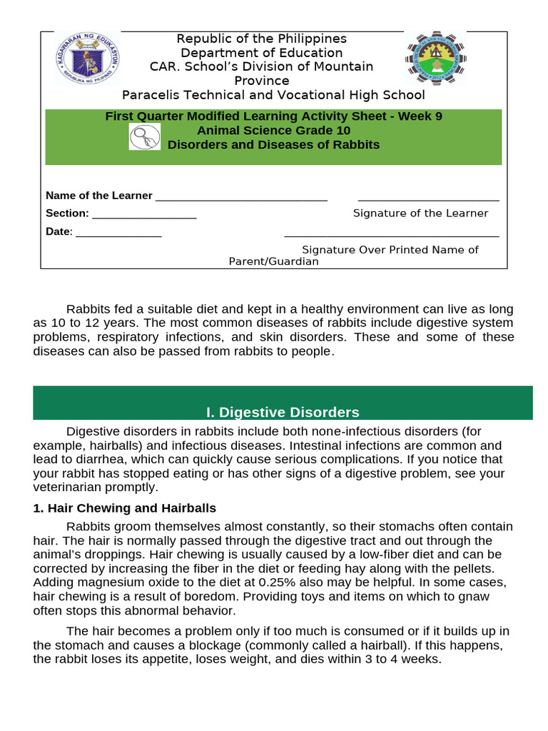 Q 2 Week 1 - 5 Common Rabbit Diseases To Watch Out For | PDF | Diarrhea ...