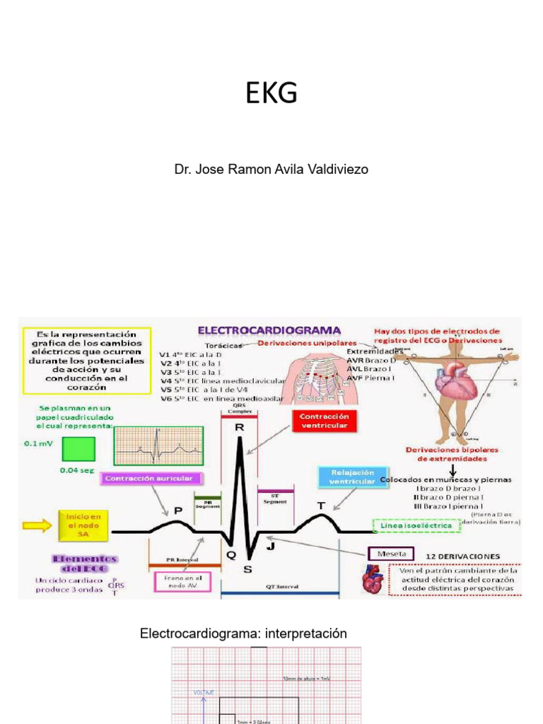 Ekg 1 | PDF | Fisiología Cardiovascular | Cardiología