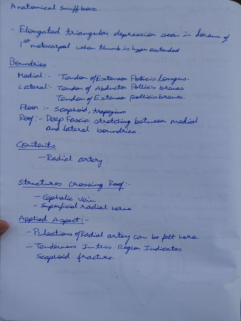 Anatomical Snuff Box | PDF