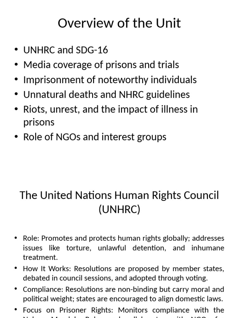 Agenda Setting of Prisoner Rights | PDF | Prison | Torture