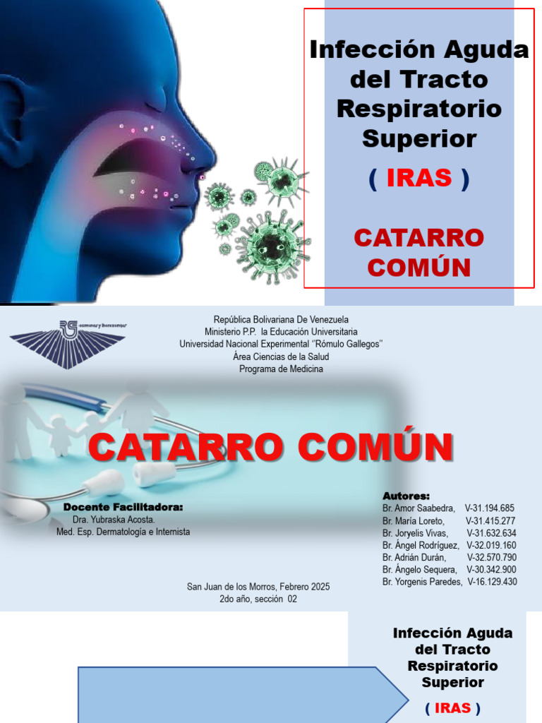 Catarro Comun - Iras - Grupo 06 Med Gral II - Feb 2025 | PDF ...