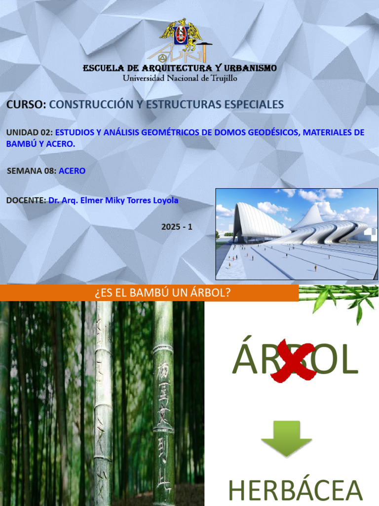 Sesión #08 - Bambú | PDF | Fundación (Ingeniería) | Madera