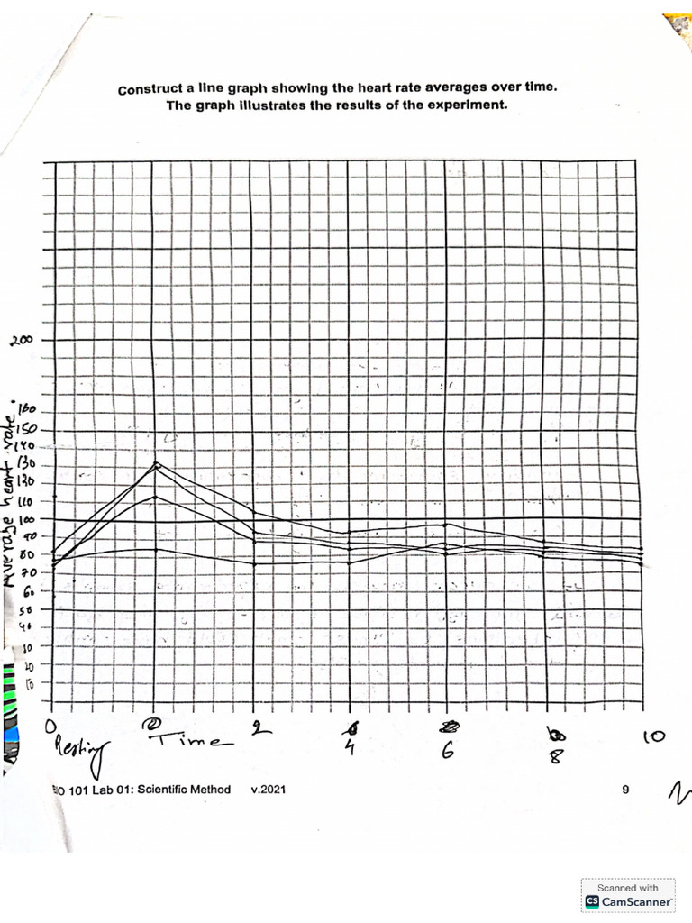 Bio Lab Worksheet | PDF