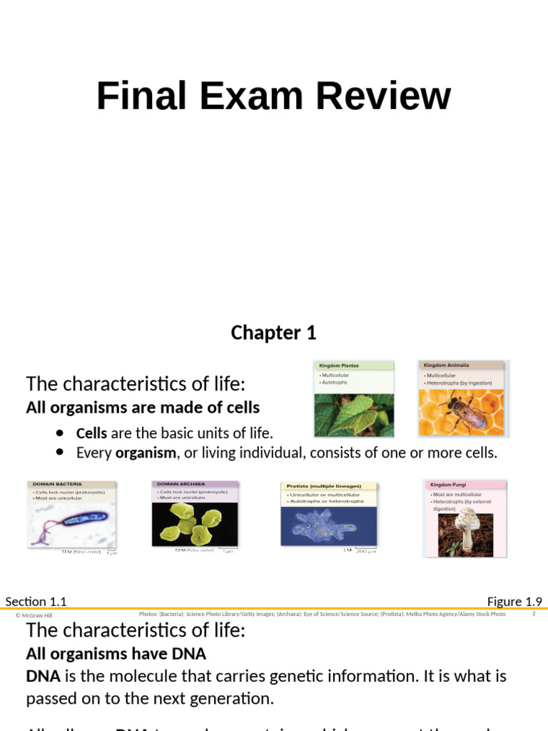 BIO 101 Final Exam Review | PDF | Chemical Polarity | Photosynthesis