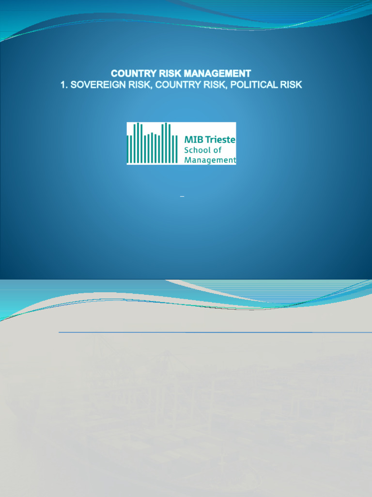 Mirm Slides 2024-Mschiattone | PDF | Risk | Debt