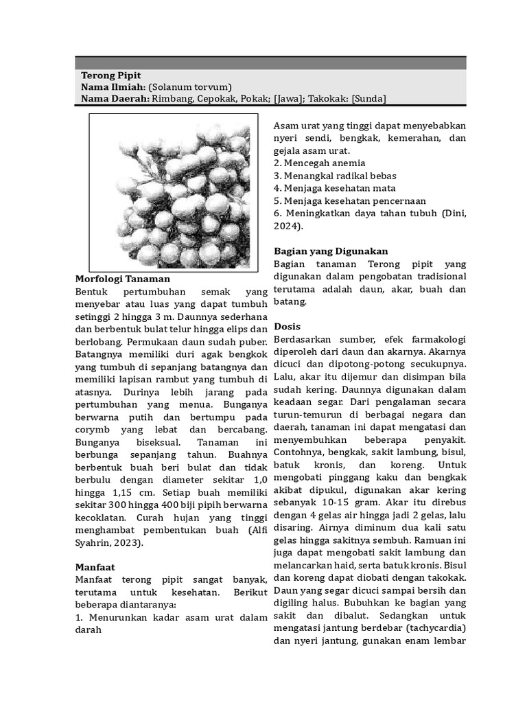 Manfaat Kesehatan Terong Pipit | PDF