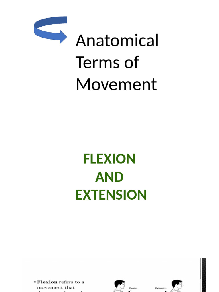 Anatomical Terms of Movement (Autosaved) | PDF