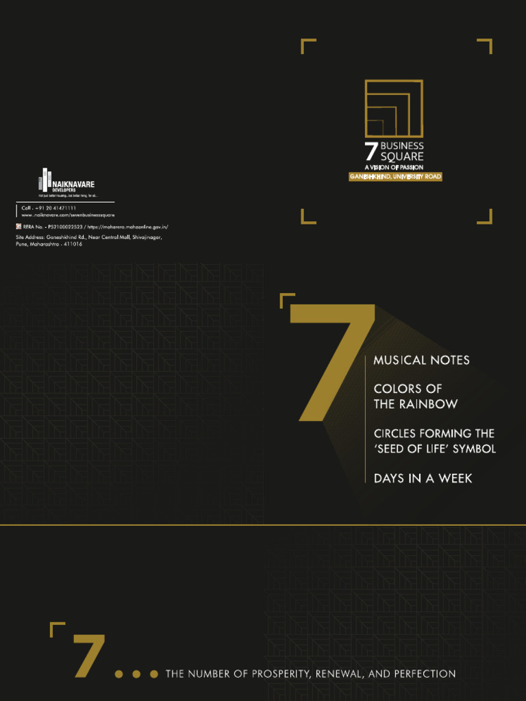 7BS Brochure | PDF
