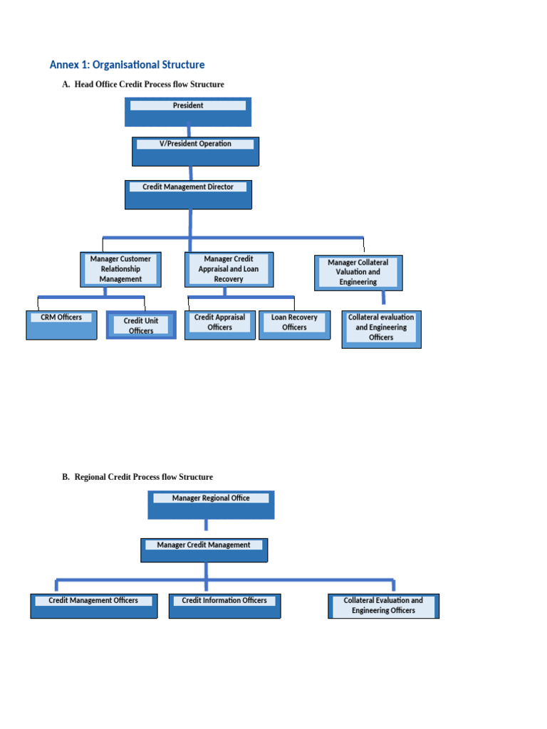 1 Annex Organisational Structure Abay Bank S.C | PDF