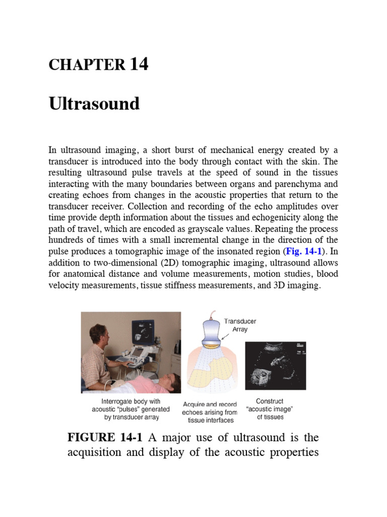 Cap14-The Essential Physics of Medical Imaging | PDF | Decibel | Sound
