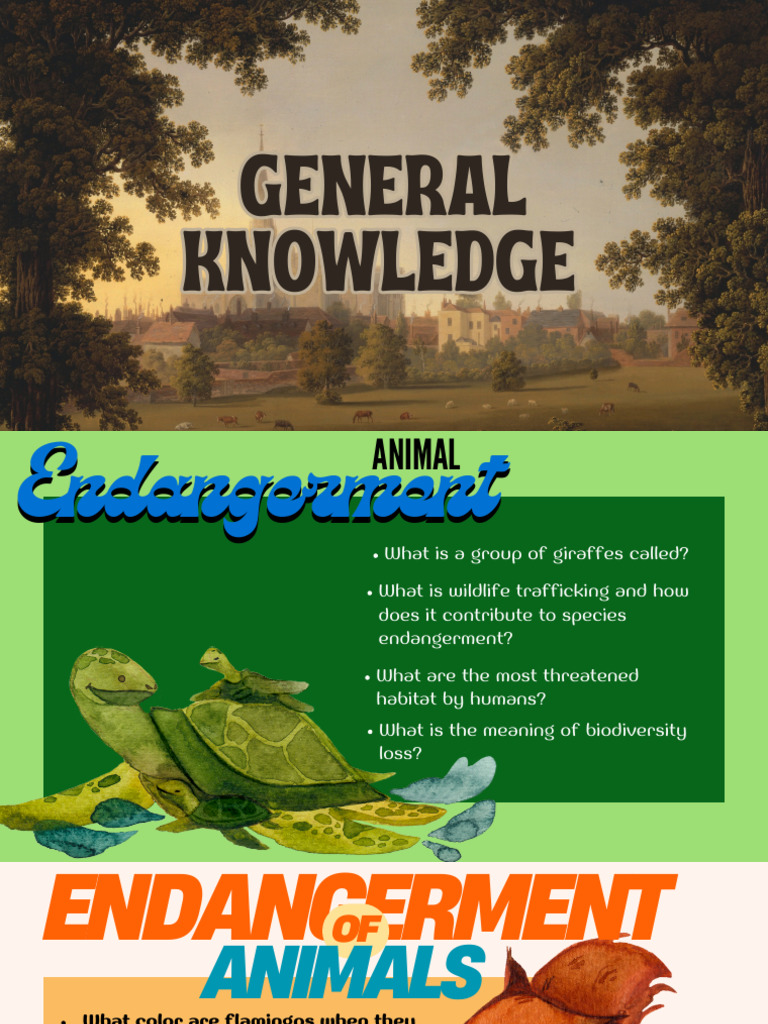 Global Presentation General Questions | PDF