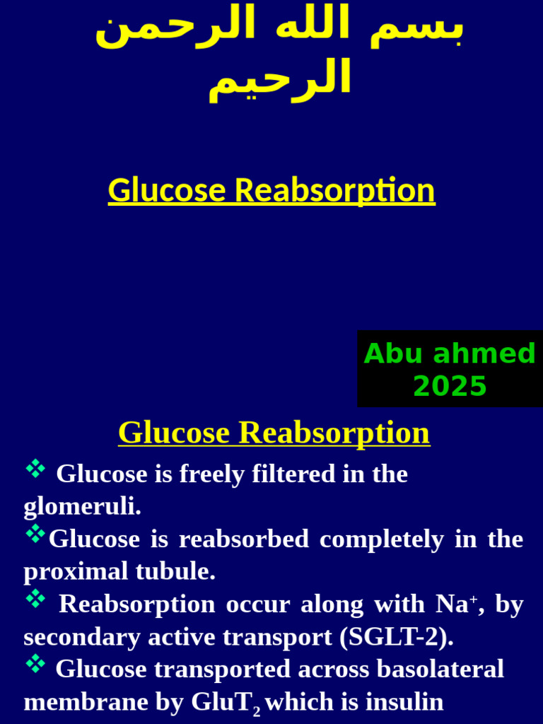 Glucose Reabsorption and Diuretics Overview | PDF | Kidney