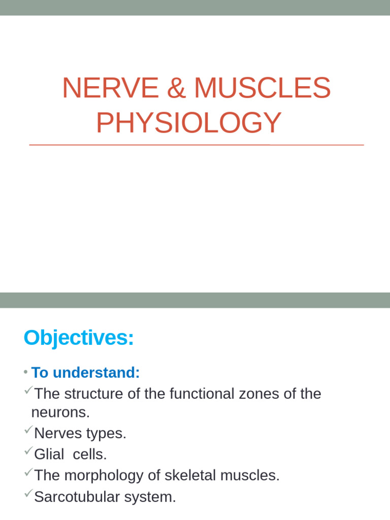Nerves and Muscles Physiology by Dr. Alshima | PDF | Axon | Myelin