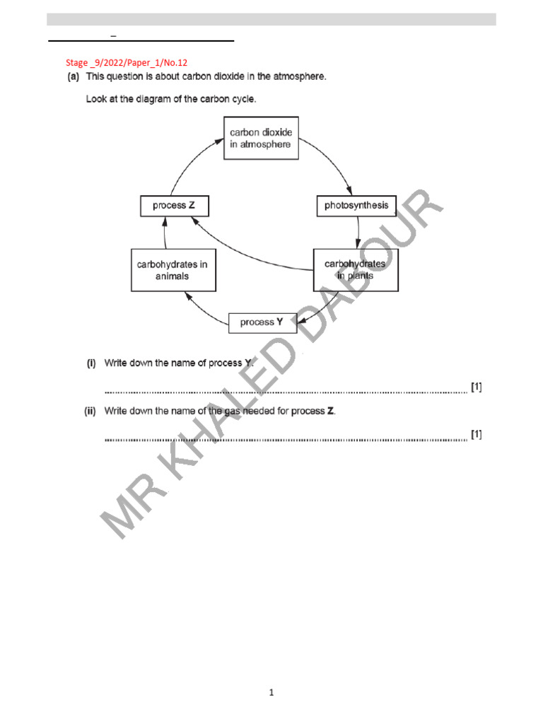 2023 2 Carbon Cycle Checkpoint Sec 1 Progression Stage 9 | PDF