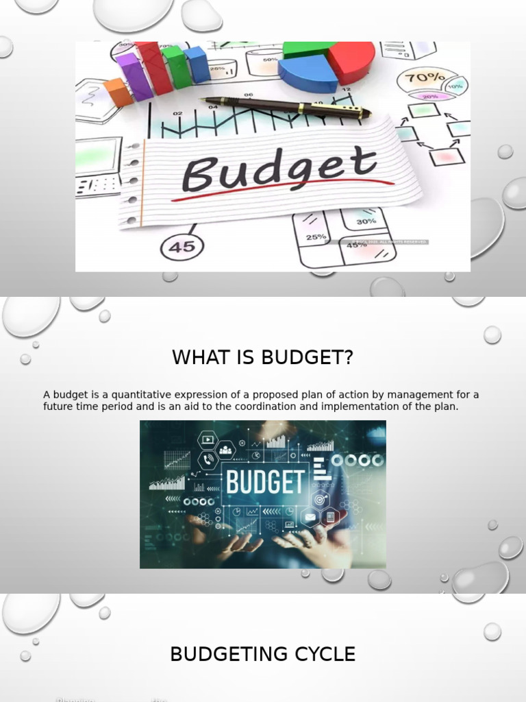 Overview of Budgetary Accounting | PDF | Budget | Business