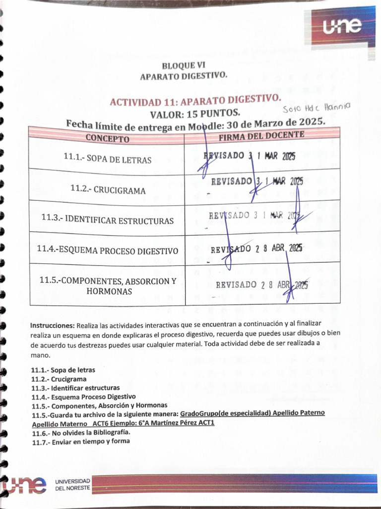 BLOQUE VI Compressed | PDF