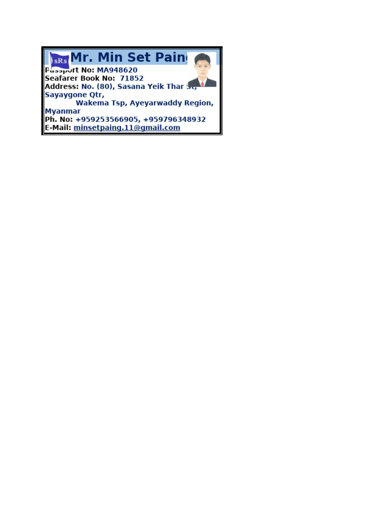 Baggage Label | PDF