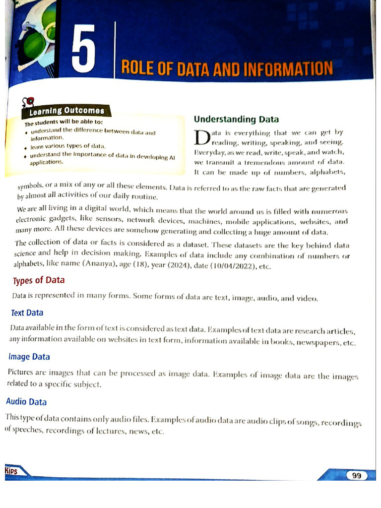 Chapter 5 Role of Data and Information | PDF