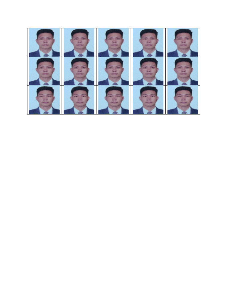 1x1 Picture | PDF