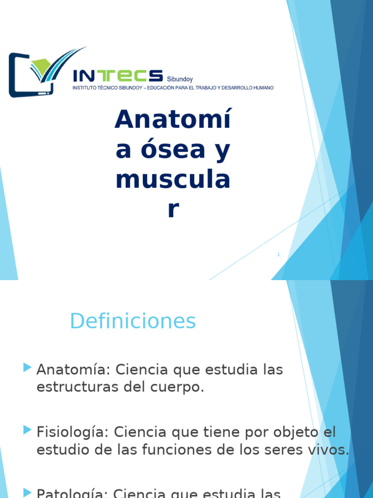 Sistema Oseo y Muscular | PDF | Articulación | Músculo