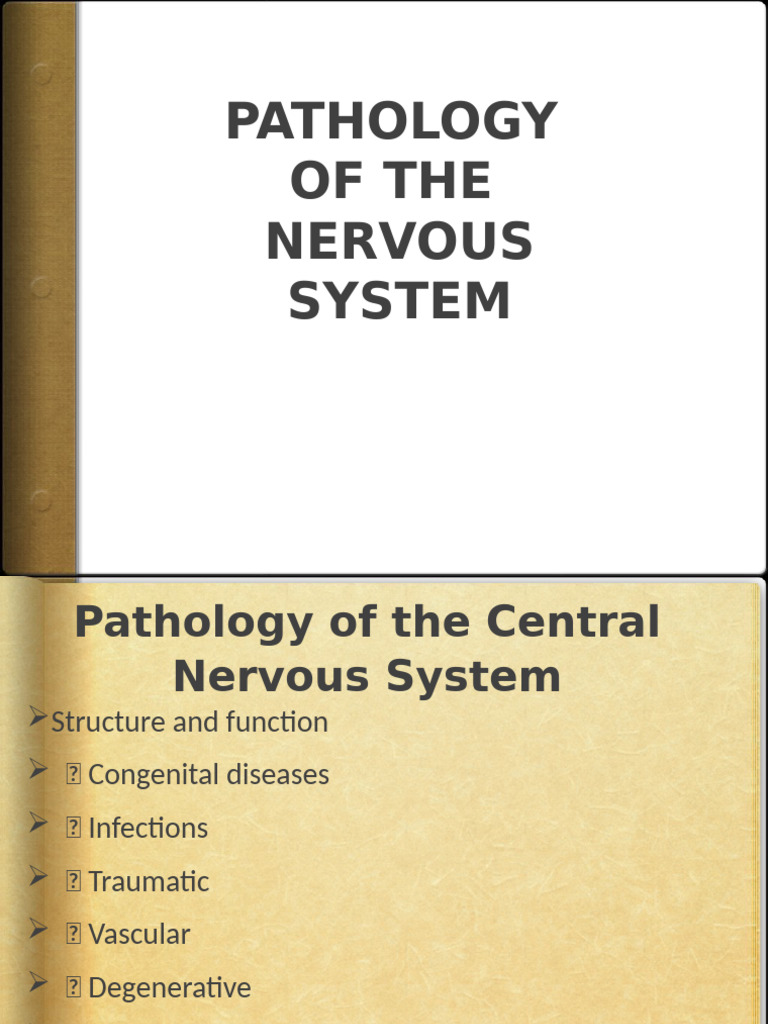 Pathology of The Nervous System | PDF | Meningitis | Vertebral Column