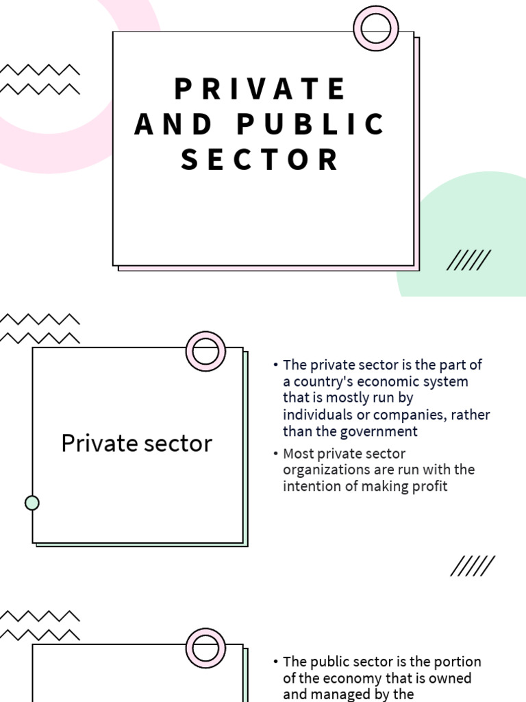 The Public and Private Sector | PDF | Goods | Public Economics
