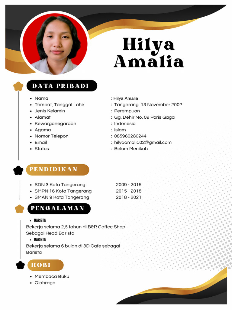 CV Hilya 2025 | PDF