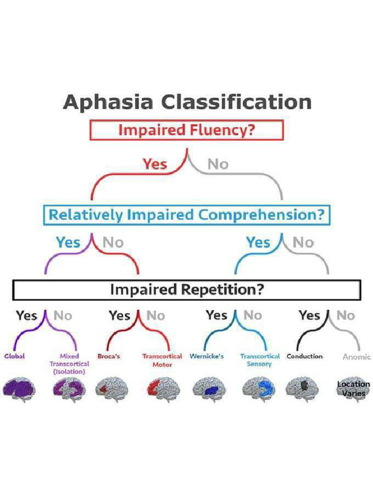 Visual Summary of Aphasia New | PDF