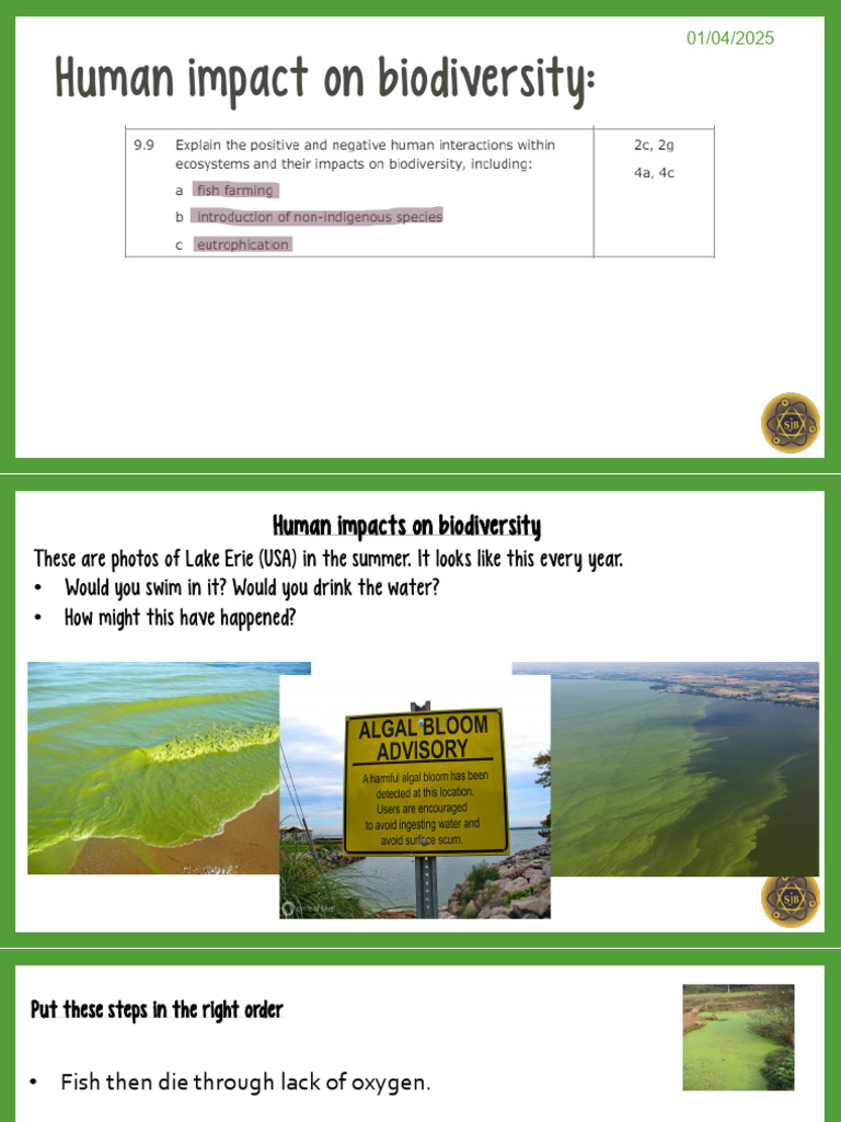 Human Impact On Biodiversity NA Ss | PDF | Human Impact On The ...