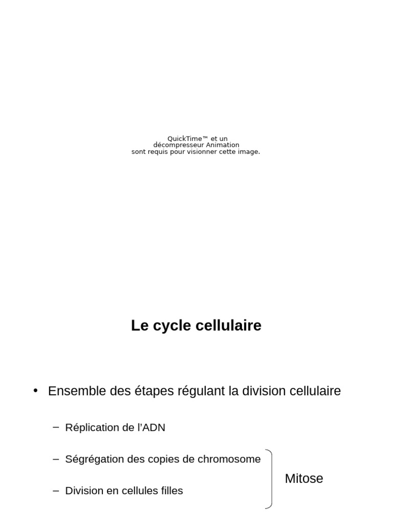 Contrôle du cycle cellulaire et checkpoints | PDF | Cycle cellulaire ...