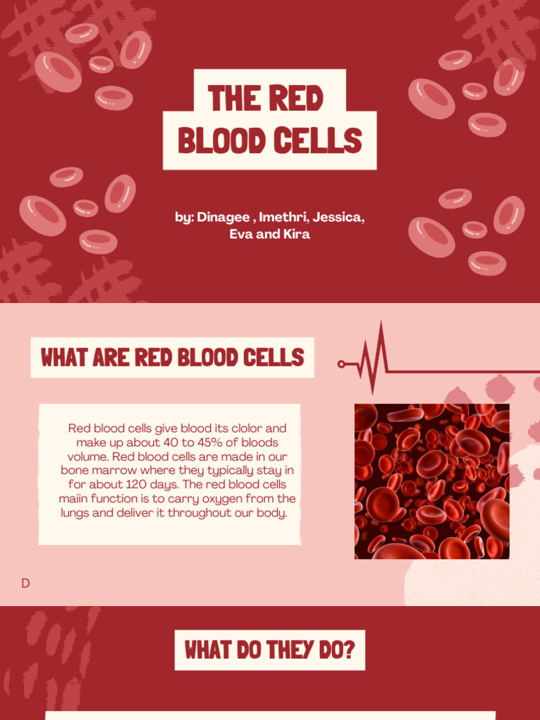 What Are Red Blood Cells | PDF