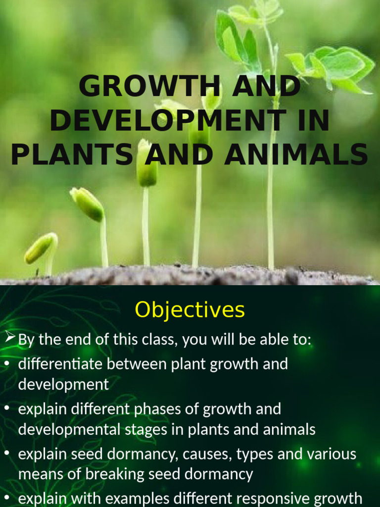 Plant and Animal Growth Overview | PDF | Seed | Developmental Biology