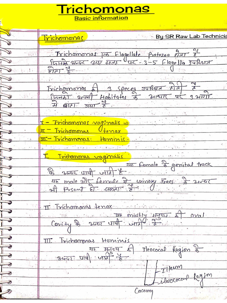 Micro 50 Trichomonas Parasite Basic Information Microbiology Chapter | PDF