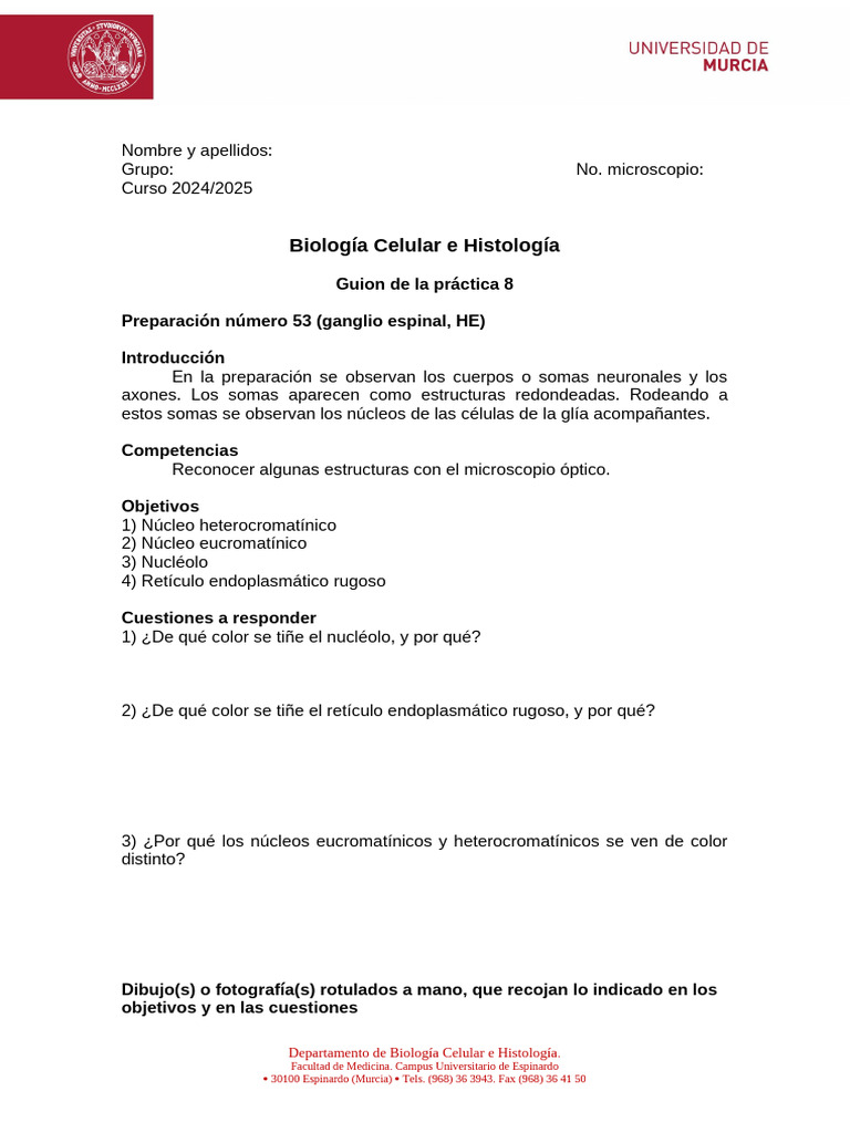 Guion Práctica 8 | PDF | Epitelio | Biología Celular)