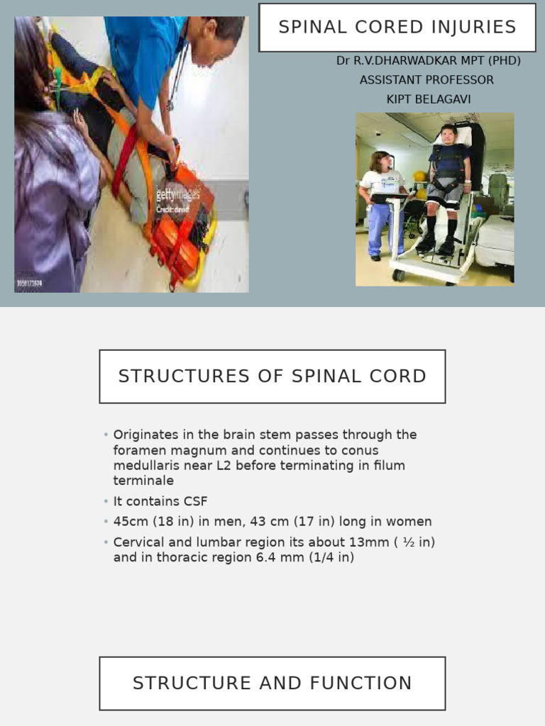 Spinal Cord Injury - 12076 - PT 1133-T - 28-03-2025 | PDF | Spinal Cord ...