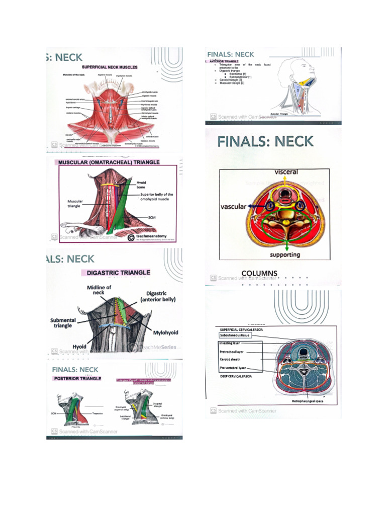 Ana Lab Drawings | PDF